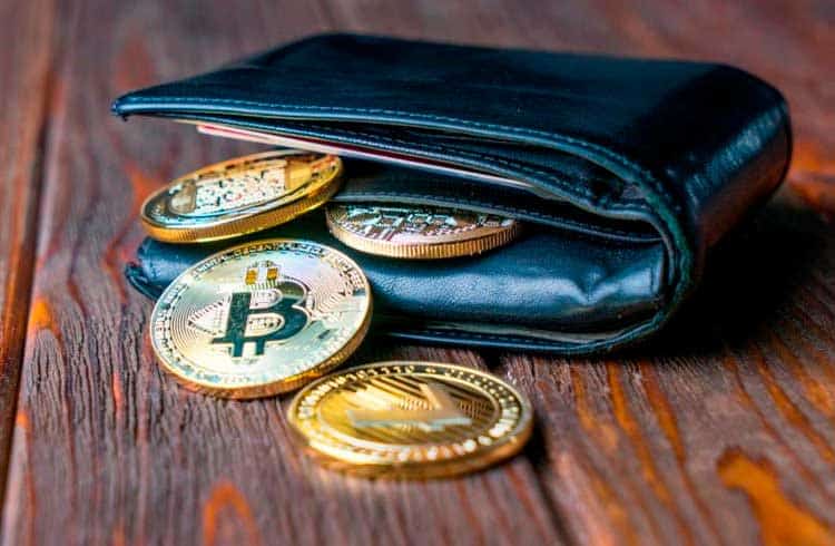 Guia de como criar e utilizar as carteiras de criptomoedas mais populares